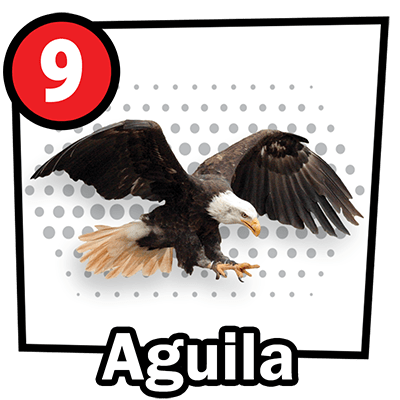 Resultados de Lotería de Animalitos, de Venezuela | LotoVen ...