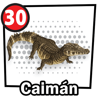 Resultados de Lotería de Animalitos, de Venezuela | LotoVen ...