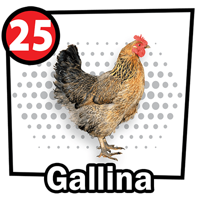 Resultados de Lotería de Animalitos, de Venezuela | LotoVen ...