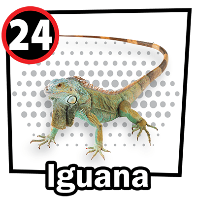 Resultados de Lotería de Animalitos, de Venezuela | LotoVen ...