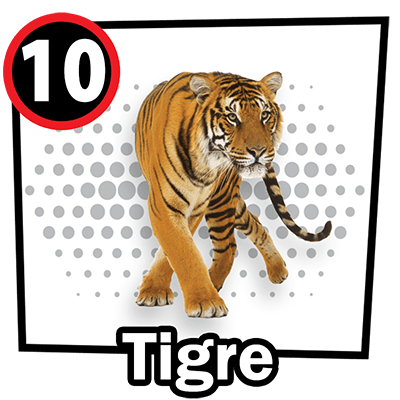 Resultados de Lotería de Animalitos, de Venezuela | LotoVen ...
