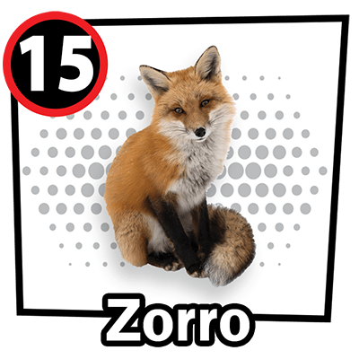 Resultados de Lotería de Animalitos, de Venezuela | LotoVen ...